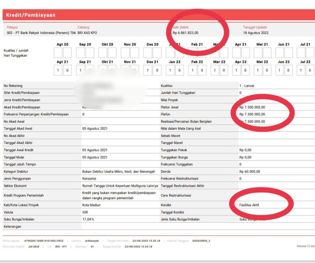 Status Pinjaman Sudah Lunas di Aplikasi, tapi di SLIK Ada Tunggakan dan ...