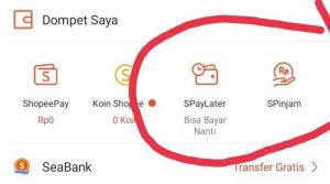 Shopee Dengan Bijak Menyelesaikan Permasalahan Penghapusan Akun Saya