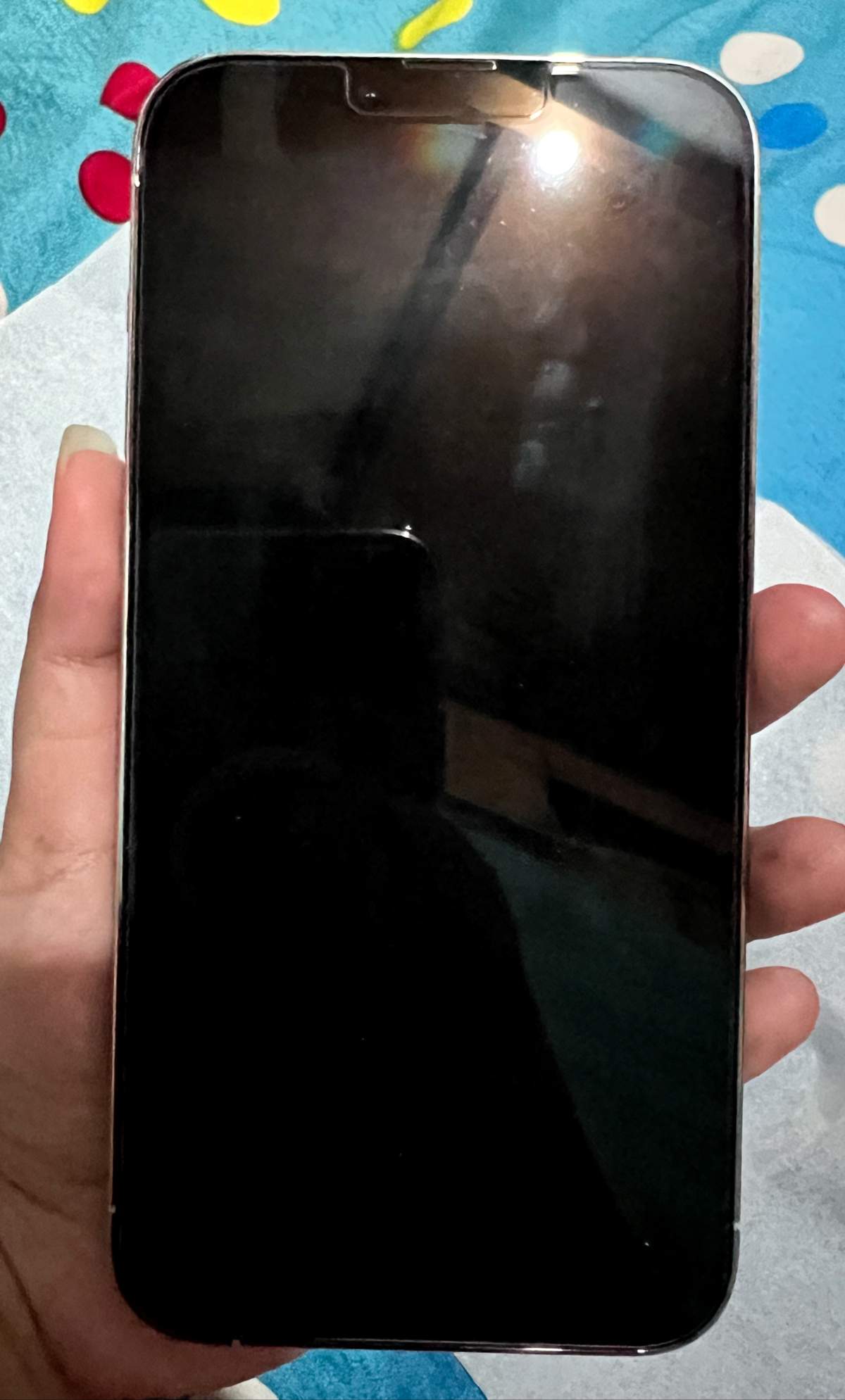 Layar iPhone 13 Pro Max "Blank White Screen" Saat Proses Update IOS