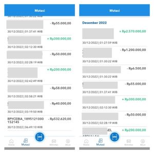 Pembayaran Auto Debit BRI Ceria, Terdebit Dua Kali