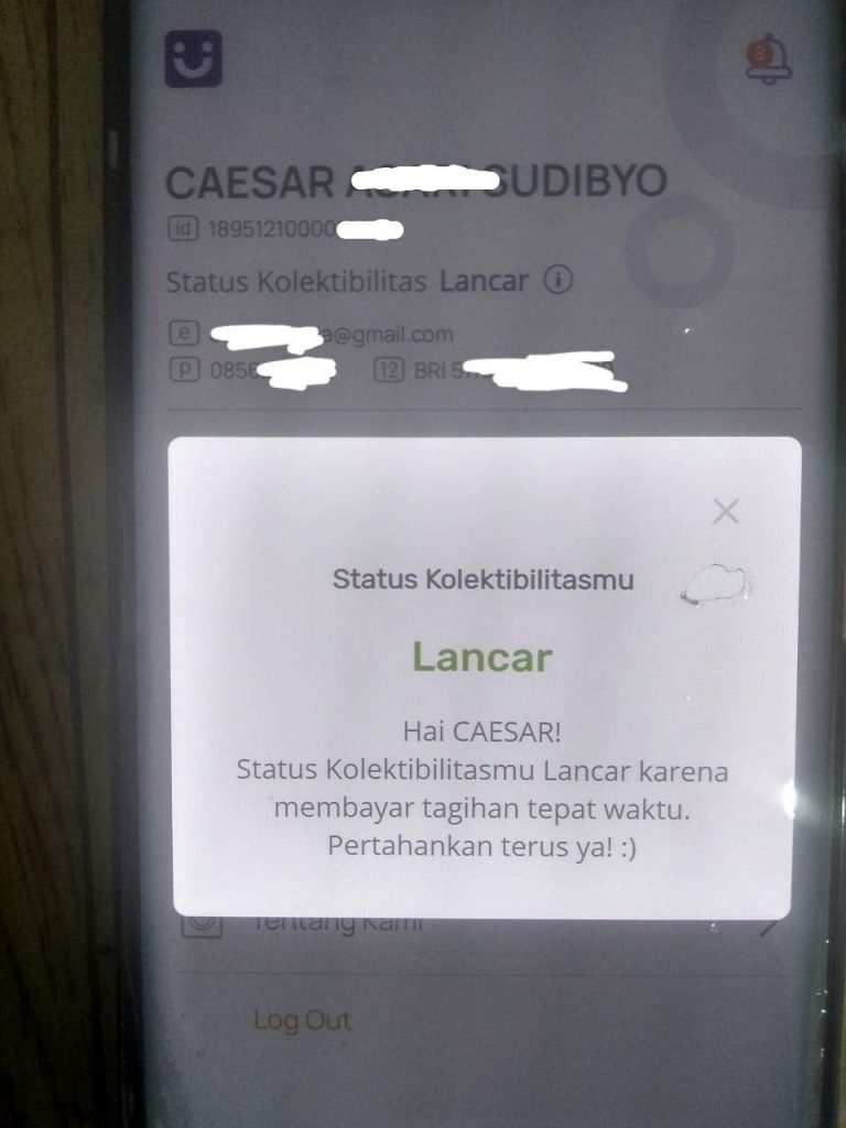BRI Ceria Sudah Lunas dan Tidak Dipakai, SLIK OJK (IDEB) Kualitas 2 ...